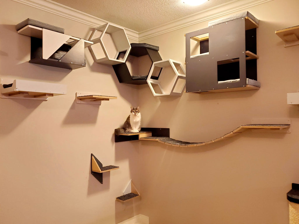 Cat Dream Home - Custom Full House Catification Project – Scratchy Things