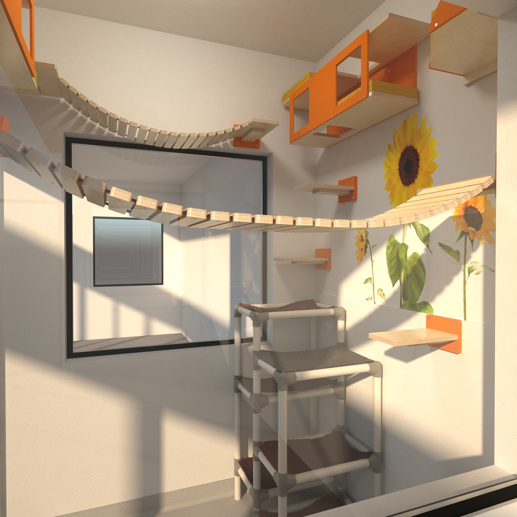 Project 2017 – Scratchy Things