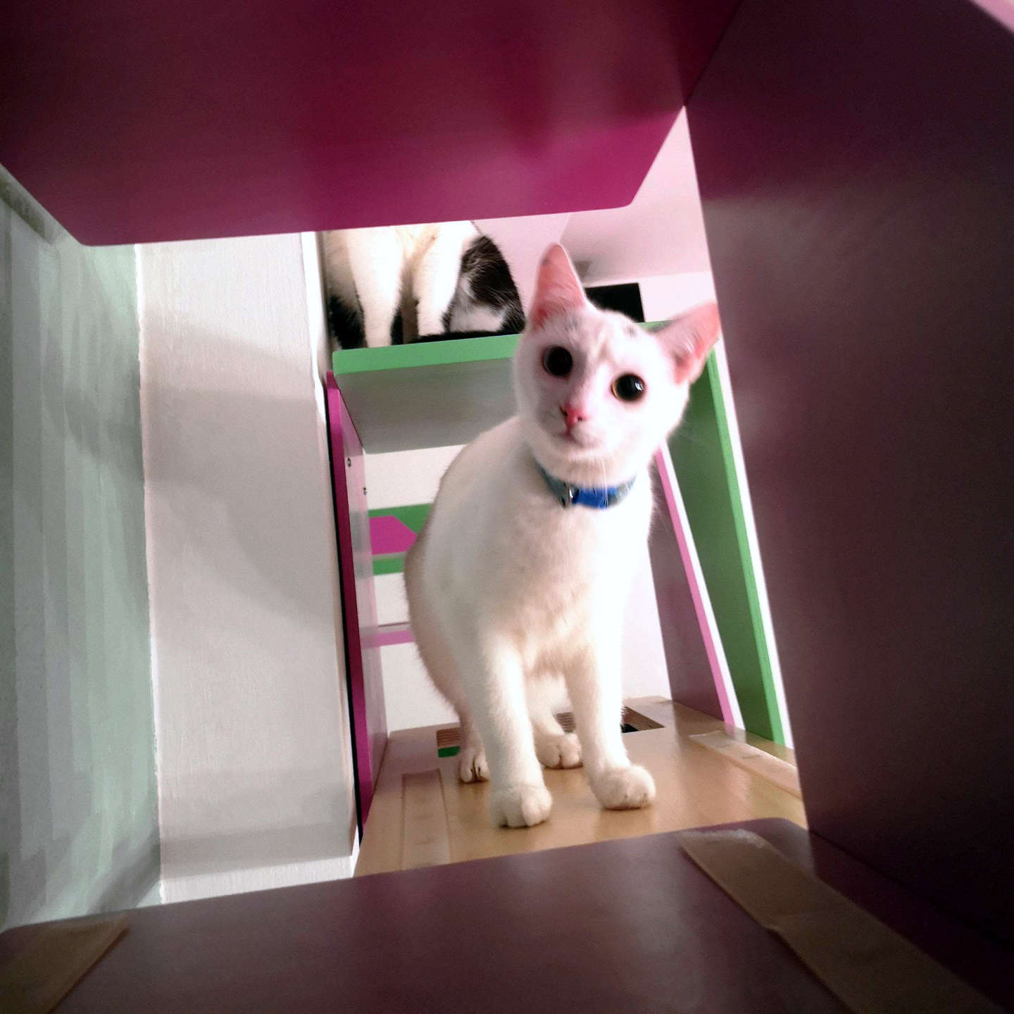 Best selling products – Scratchy Things